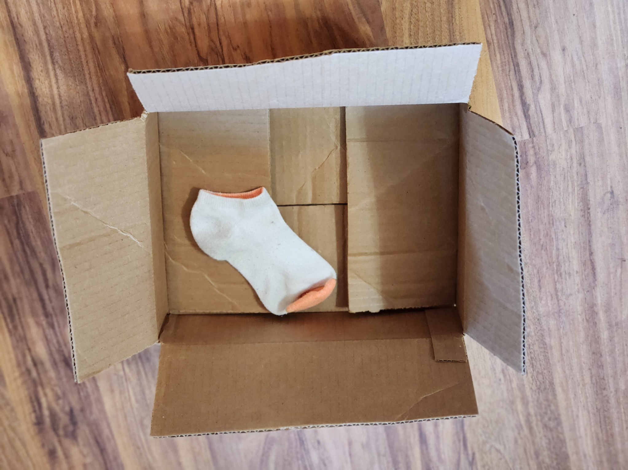 Novice HD Troubleshooting – Sniffing Around Scent Work