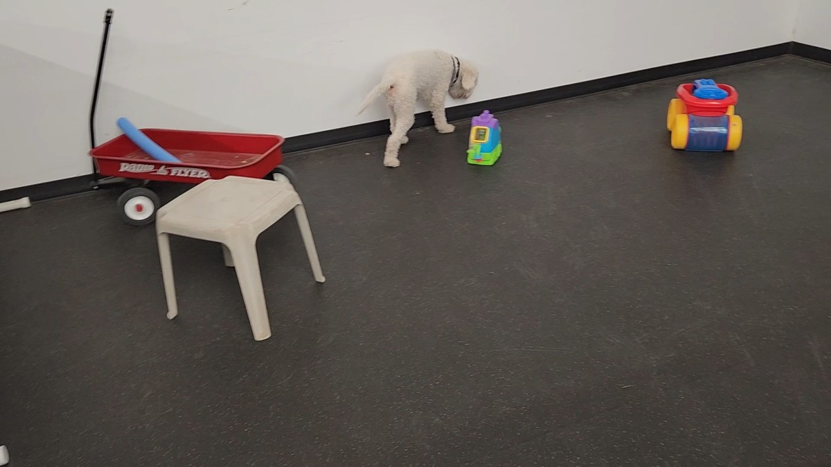 What I Wish Trial Chairs Knew (Part Two: Interiors) – Sniffing Around ...