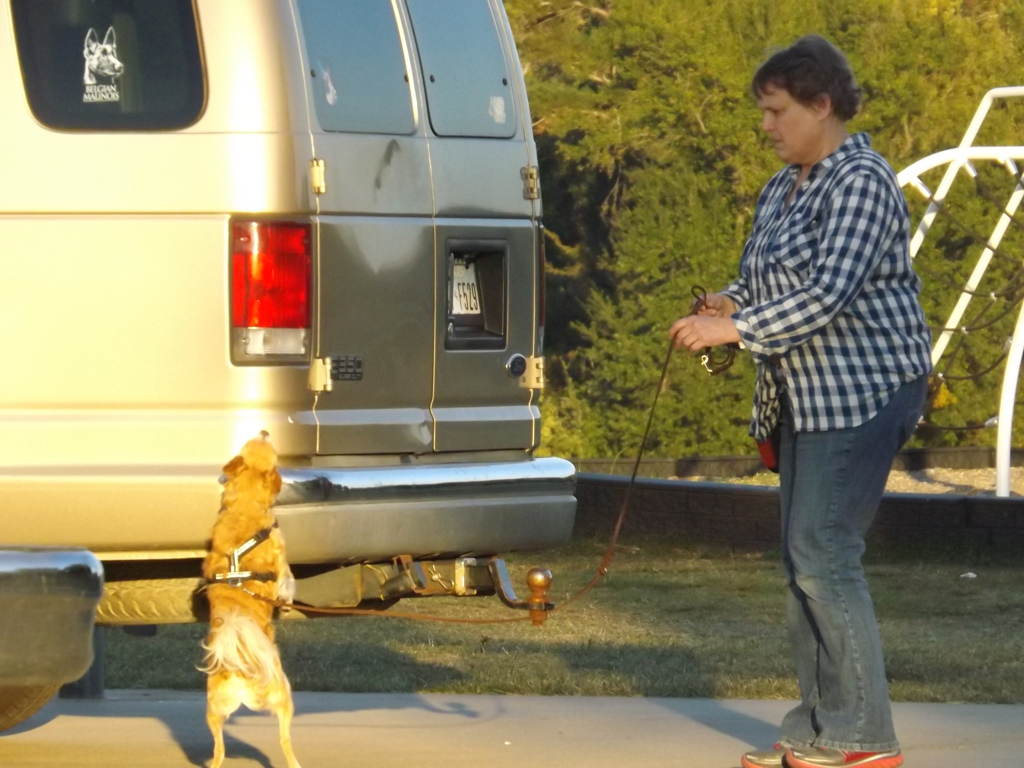 11 Guidelines for AKC Scent Work Competitions – Sniffing Around Scent Work