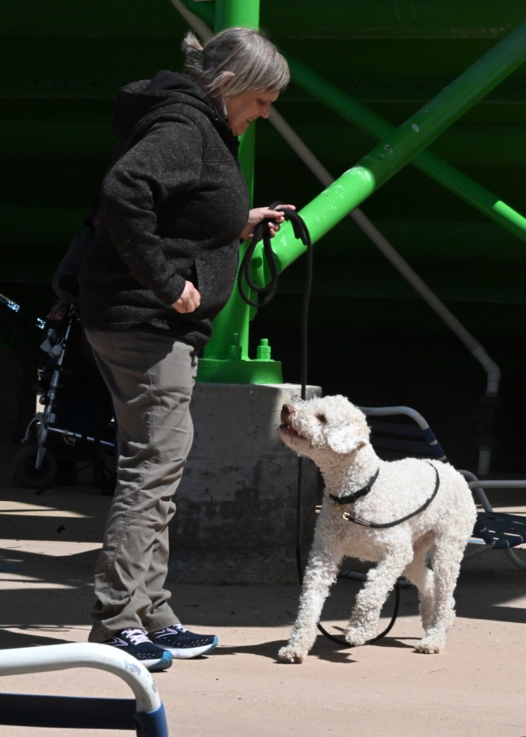 11 Guidelines for AKC Scent Work Competitions – Sniffing Around Scent Work